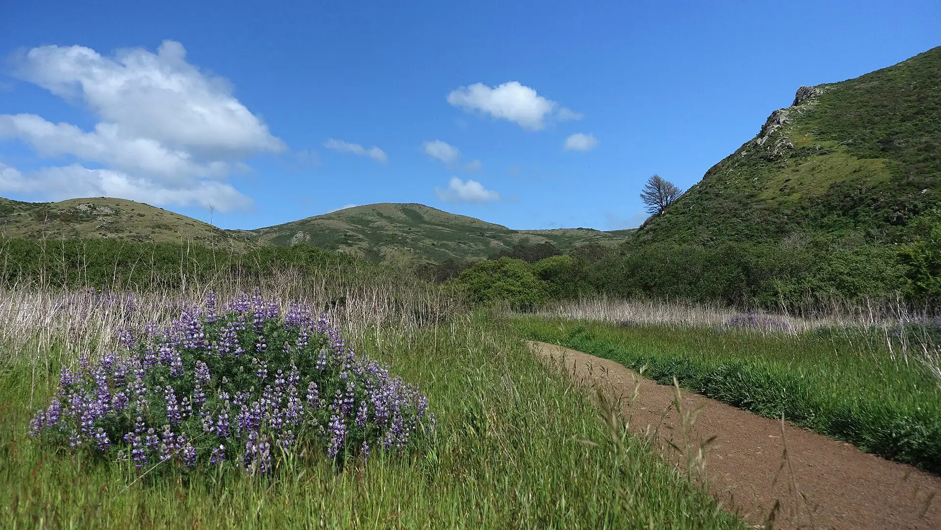 Tennessee Valley Trail Guide | Inn Above Tide